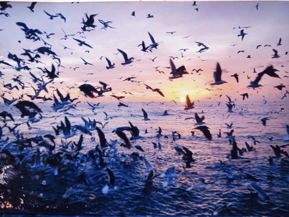 Discover Barbate - Costa Marinera